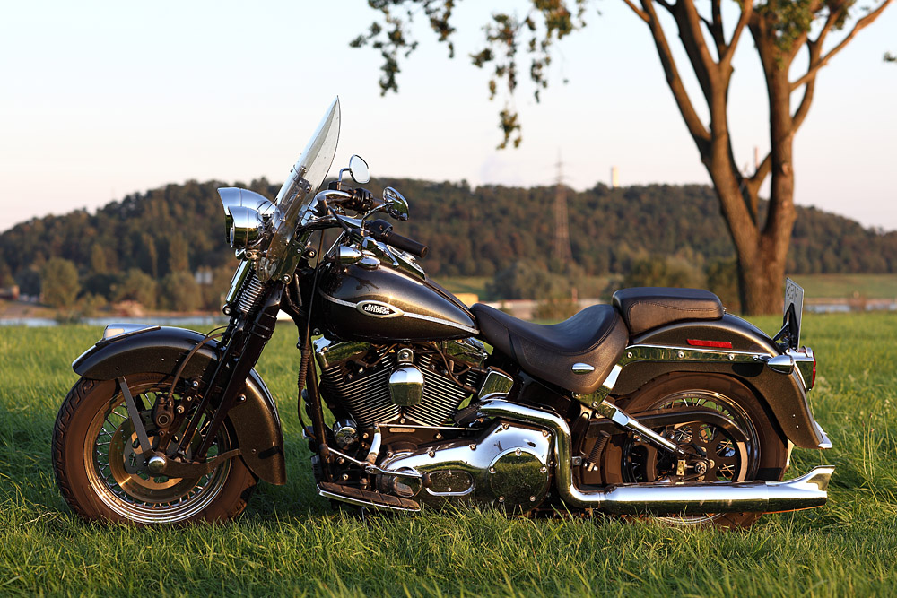Harley Davidson Softail Heritage Springer Classic Collection | Harley
